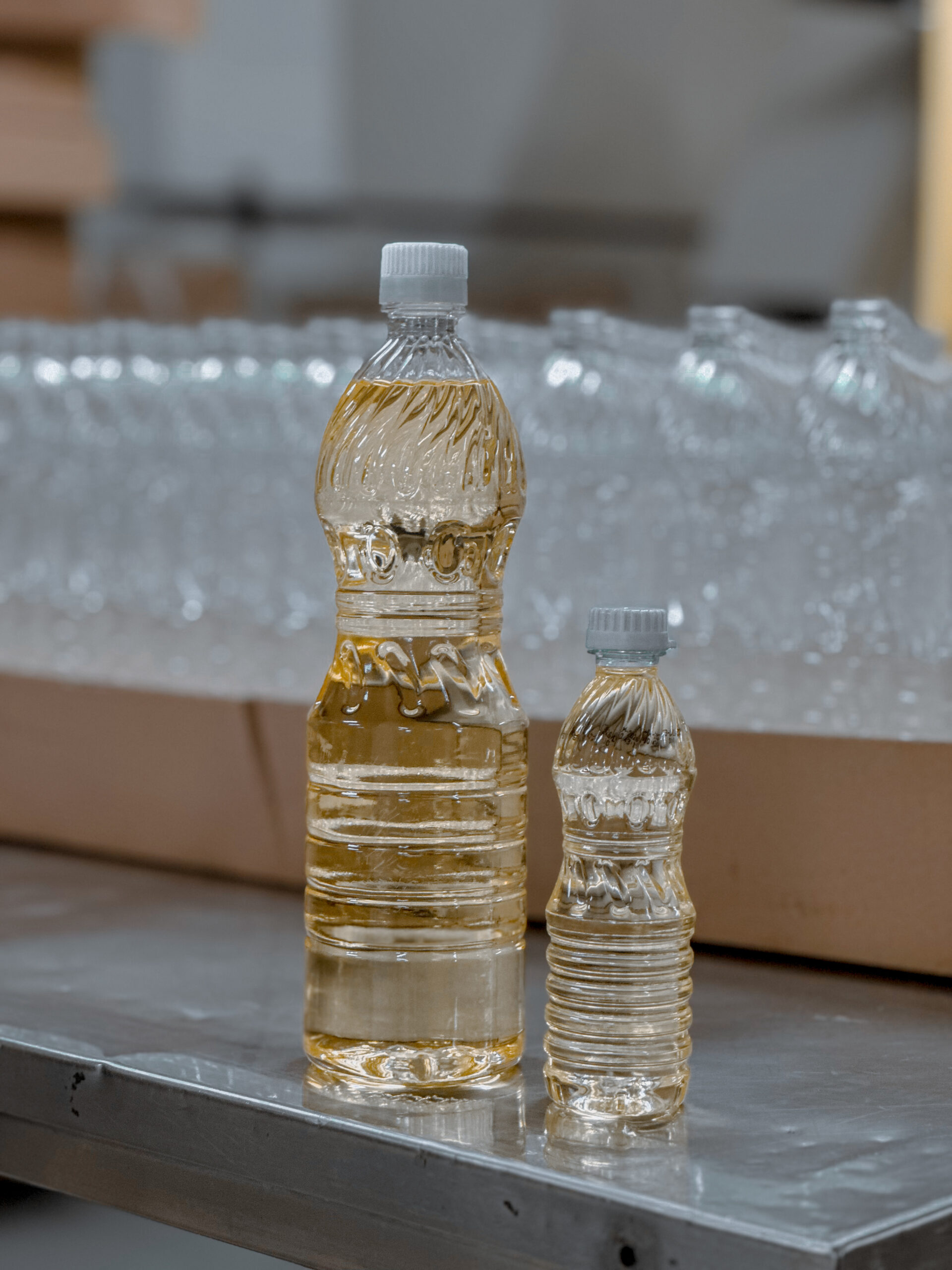 Inversiones Plastic Max